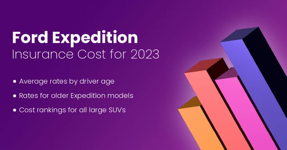 Ford Transit Insurance Rates - True Cost + Large Van Comparisons