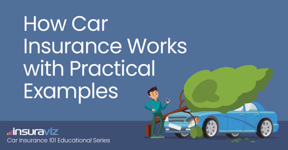 Car Insurance Cost and Rate Comparisons Visualized - Insuraviz